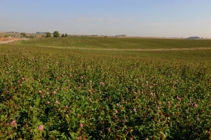 Outreach Toolkit - National Wildlife Federation - Growing Outreach